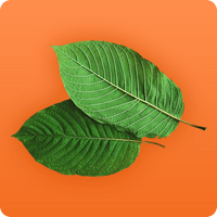 Kratomyx - Buy Kratom Extract Online