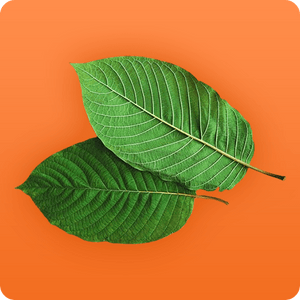 Kratomyx - Buy Kratom Extract Online